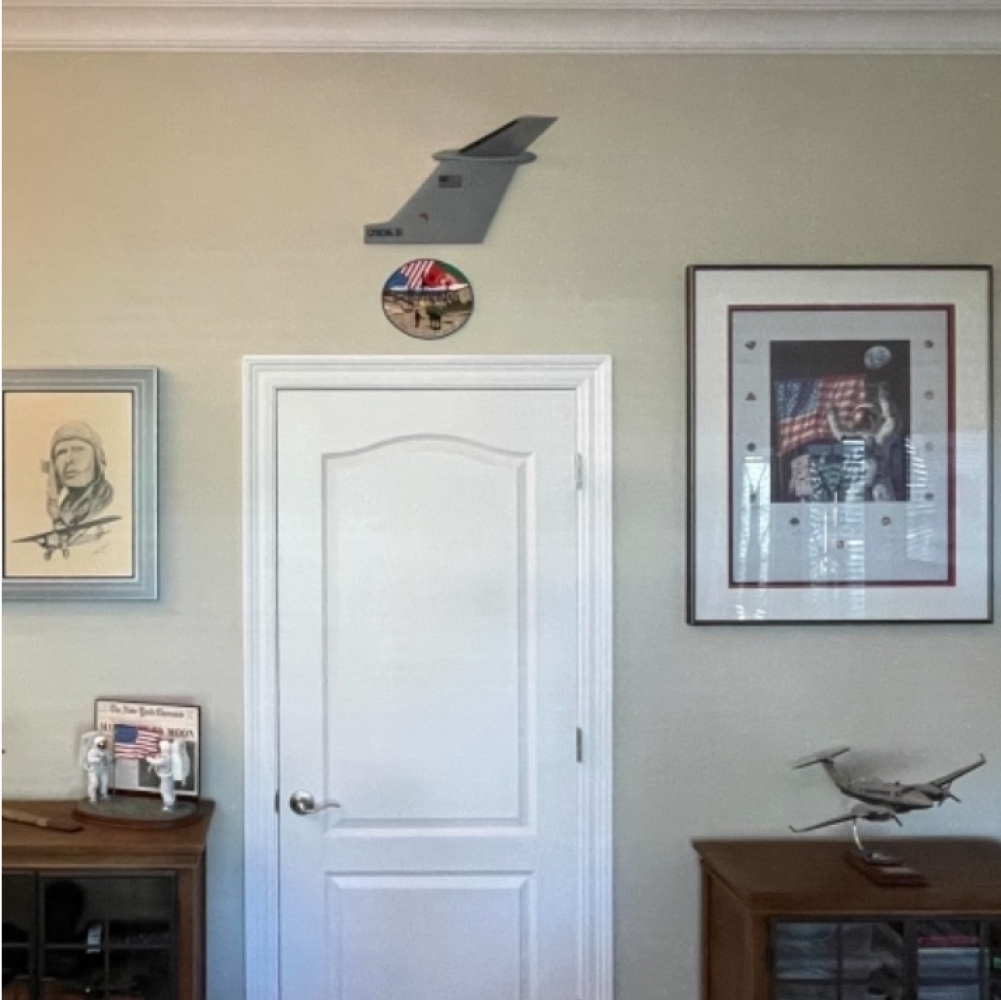 Tail Flashes Design Gallery