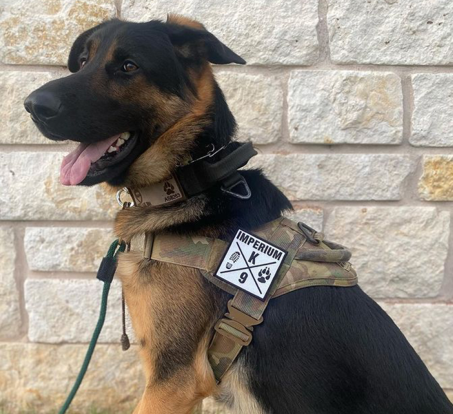 Custom Civilian Embroidered Patches