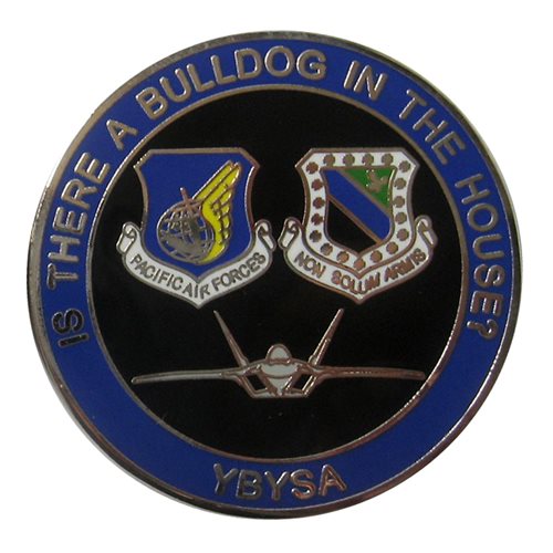 525 FS Challenge Coin | 525th Fighter Squadron Coins