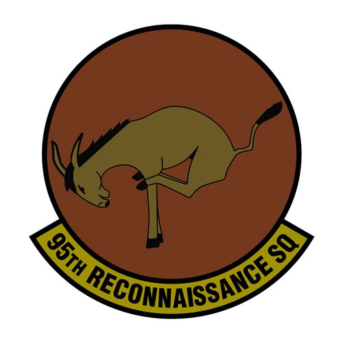 95 RS Custom Patches | 95th Reconnaissance Squadron Patches