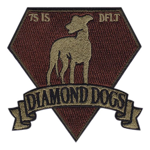 75 IS DLFT Diamond Dogs OCP Patch | 75th Intelligence Squadron Patches