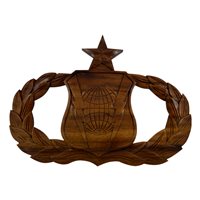 Military Wings and Badge Plaques