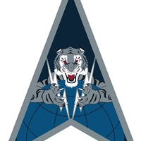 USSF Space Delta 5 Custom Patches | United States Space Force Delta 5 ...
