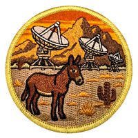 229 AVN REGT Custom Patches | 229th Battalion, Aviation Regt